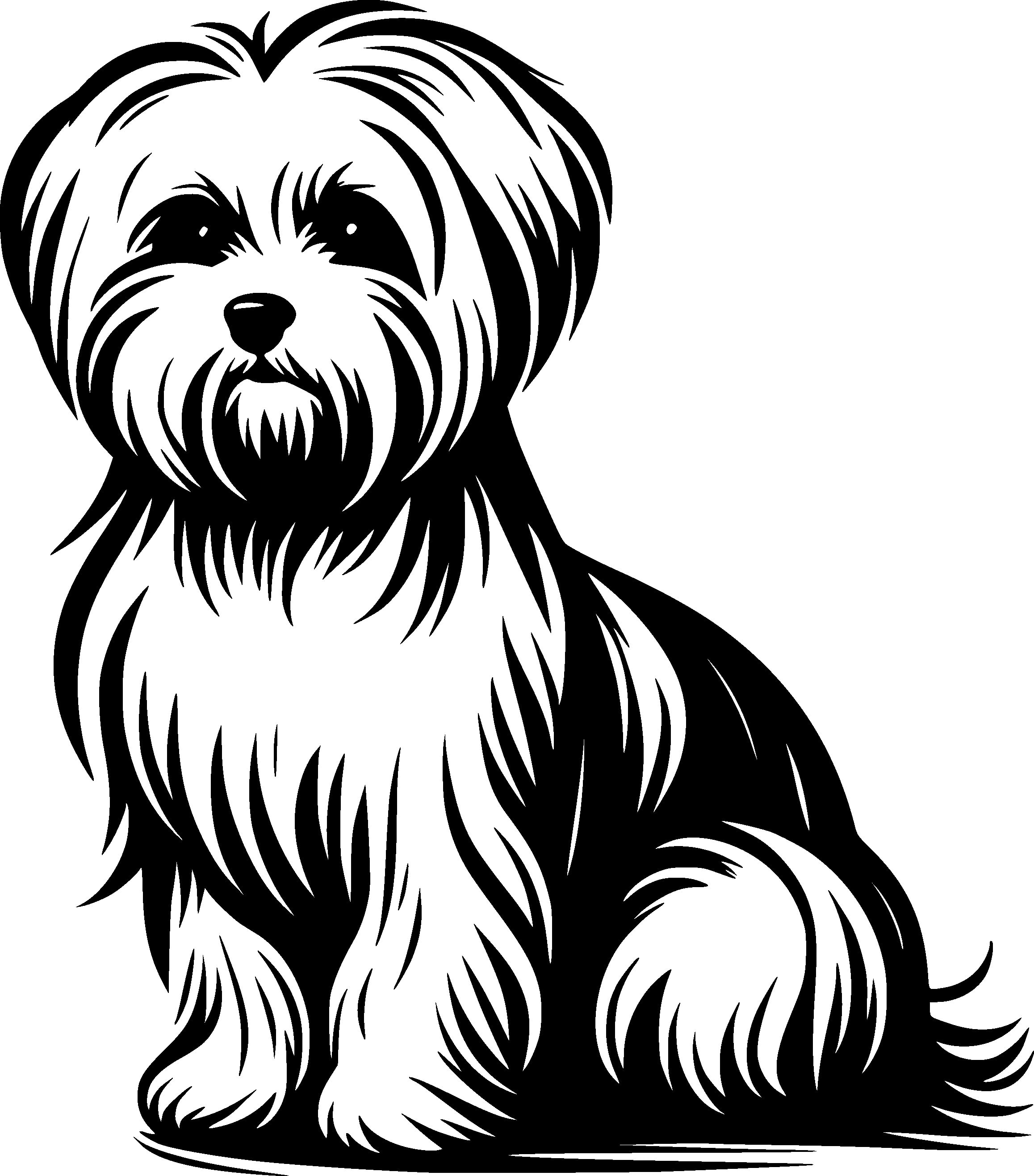 Maltese Maltese Dog SVG BUNDLE PNG Silhouette Clipart Instant Download ...