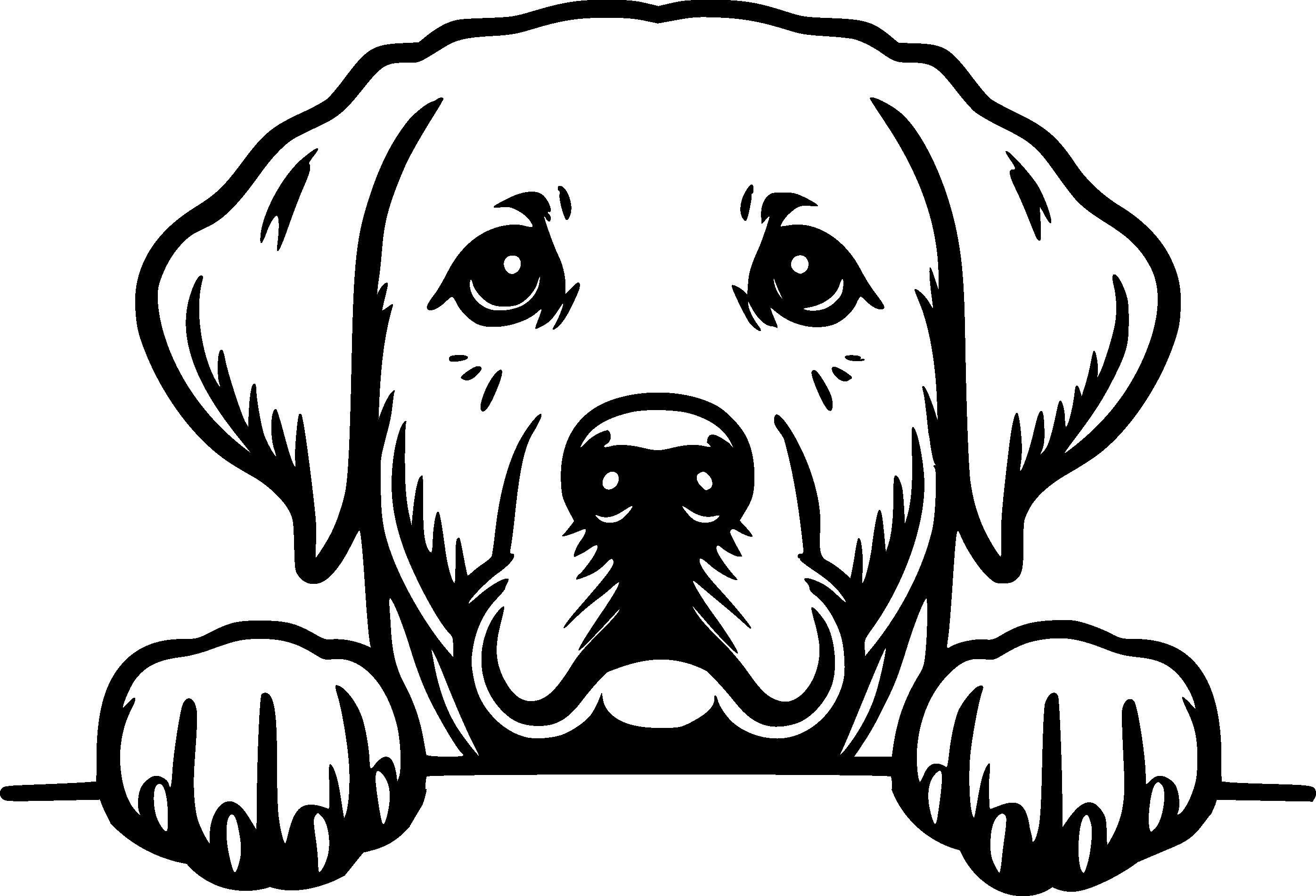 Peeking Labrador Labbi SVG PNG Files Silhouettes Clipart Instant ...