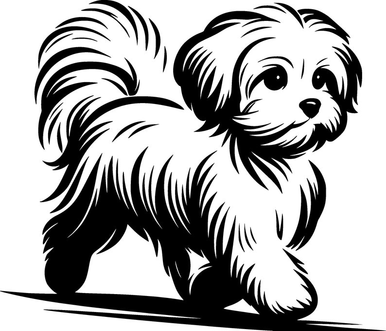 Maltese Maltese Dog SVG BUNDLE PNG Silhouette Clipart Instant Download ...