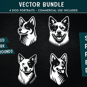 Cattle Dog Portrait SVG Bundle Png, Pdf , Eps, Dxf Vector Files, White ...
