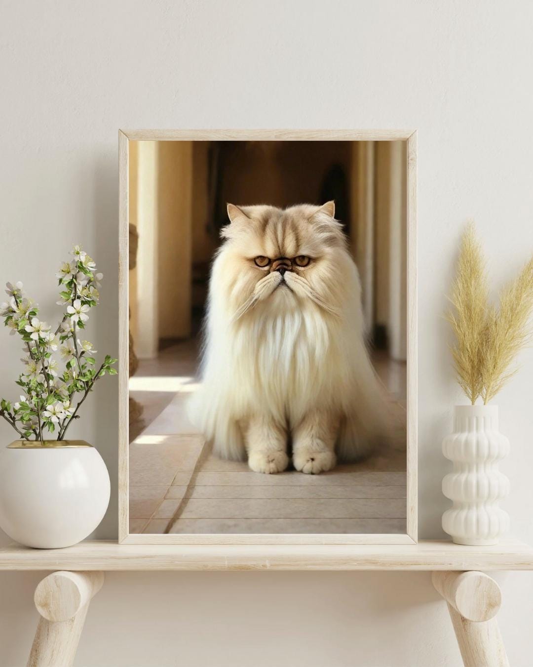 Persian Cat Photograph Wall Art | Oriental Iranian Ethnic Art ...