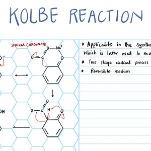 2 Page ORGANIC CHEMISTRY Notes Template With Hexagonal Grid and Notes ...