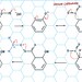 2 Page ORGANIC CHEMISTRY Notes Template With Hexagonal Grid and Notes ...