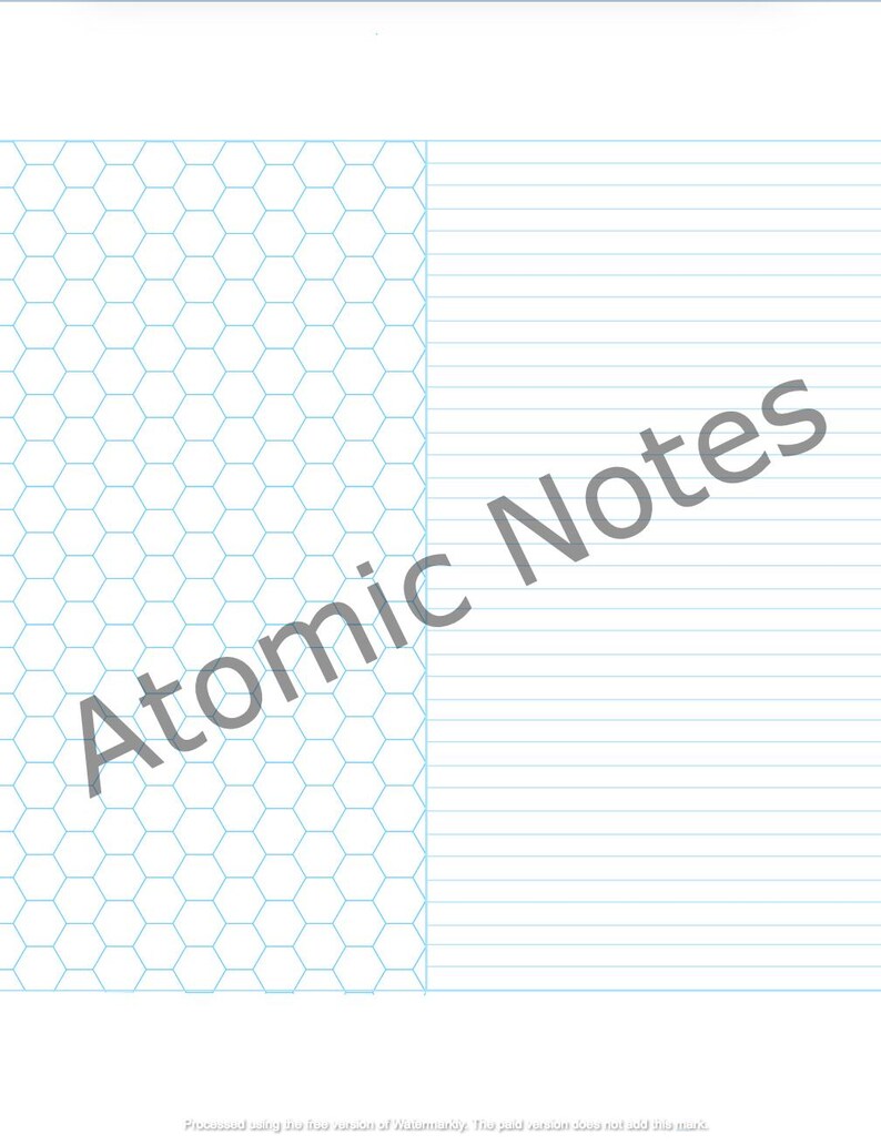 2 Page ORGANIC CHEMISTRY Notes Template With Hexagonal Grid and Notes ...