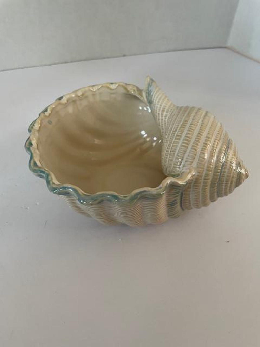 Ceramic Nautilus Sea Shell Bowl From the Shoreline Collection - Etsy