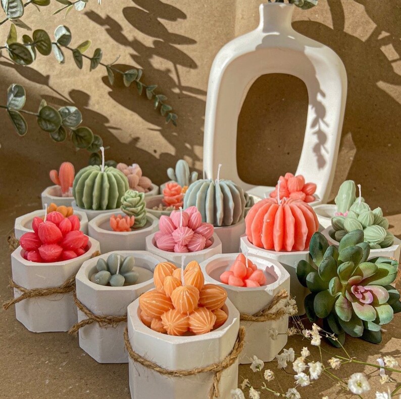 Succulent Cactus Candle in a Pot, Succulent Cactus Terrarium in a Pot ...