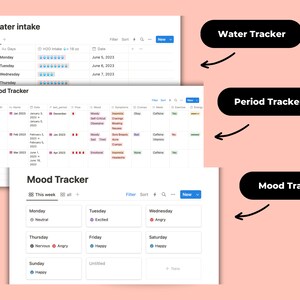 Notion Template, Notion Life Planner, Notion Planner, Notion Life ...