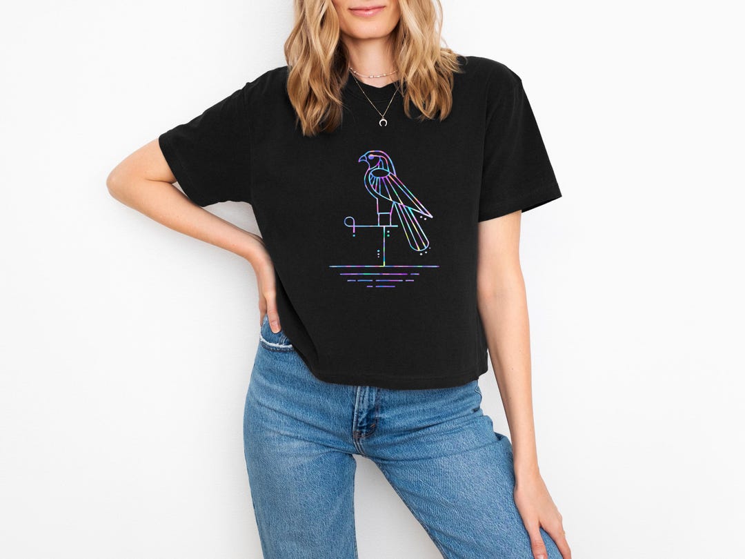 Falcon Boxy Tee, Egyptian God Horus Symbol Shirt, Divine Protection ...