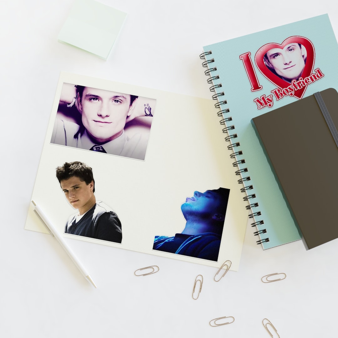 Josh Hutcherson Meme Sticker Sheet Pack - Etsy