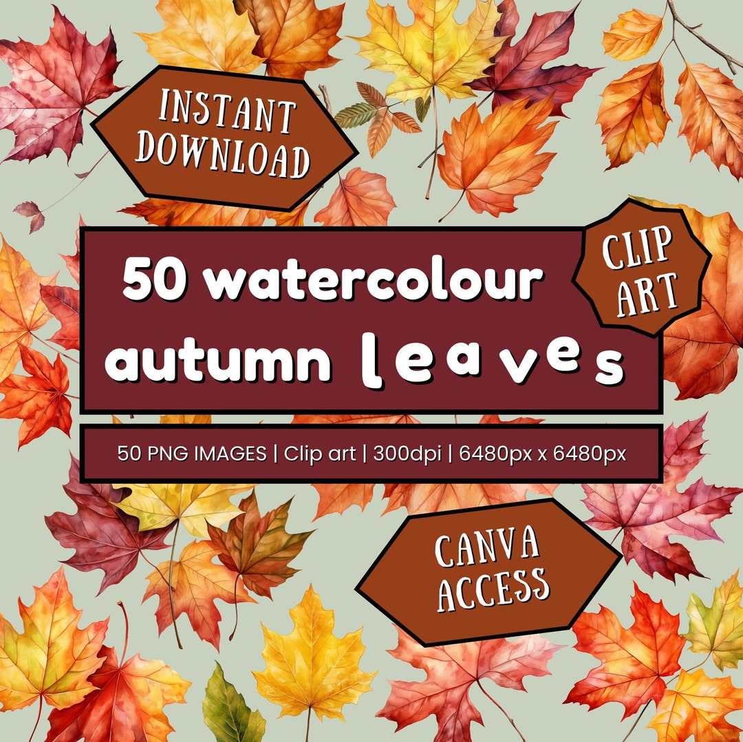 50 Autumn Leaves Watercolour Clip Art Bundle | Digital Download | 50 ...