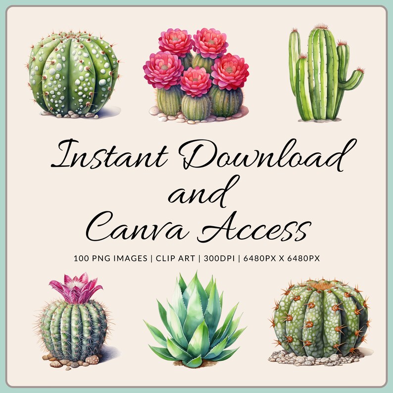 100 Cactus Watercolour Clip Art Bundle Digital Download Set of 100 PNG ...