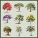 Watercolor Trees Clipart Pack | Set of 50 PNG Images | Digital Download ...
