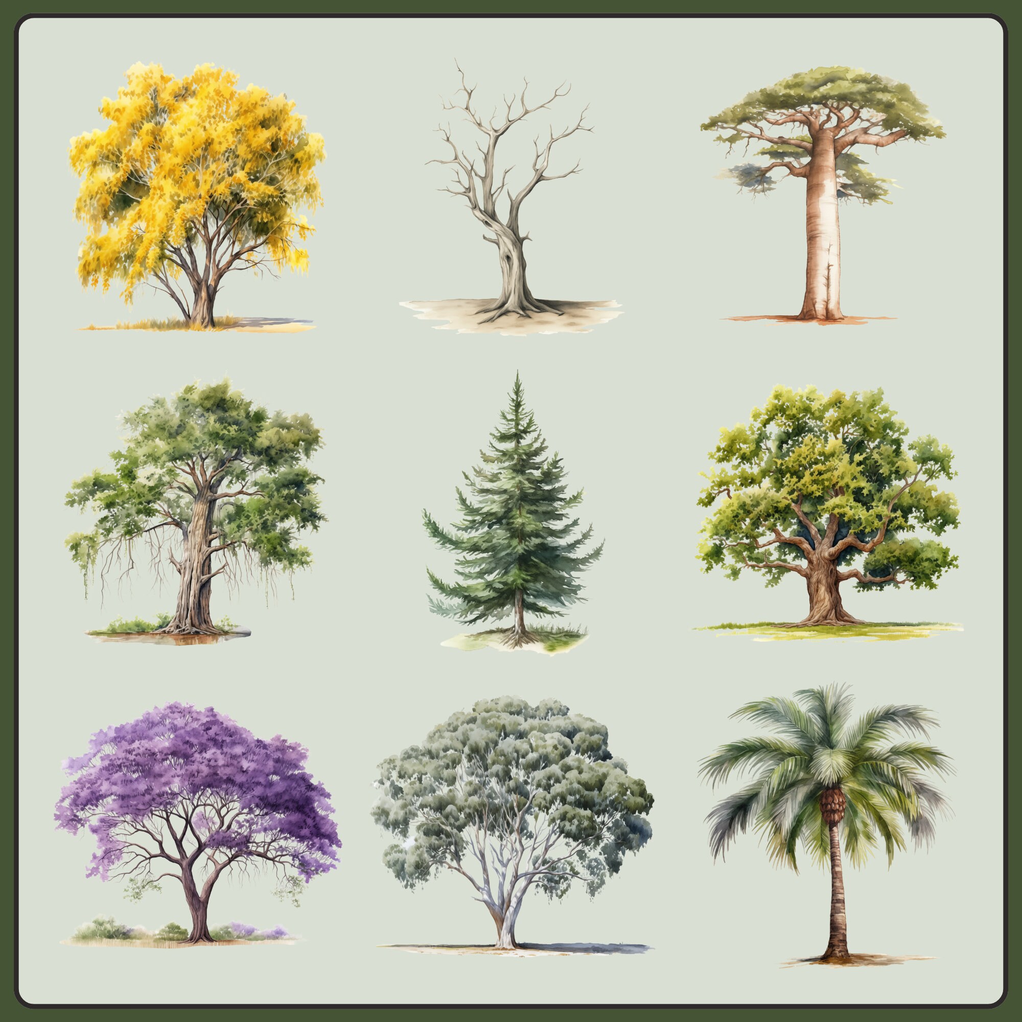 25 Watercolour Tree Clip Art Collection 25 Digital PNG Downloads ...