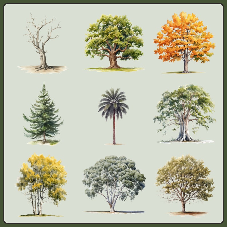 Watercolor Trees Clipart Pack Set of 50 PNG Images Digital Download ...