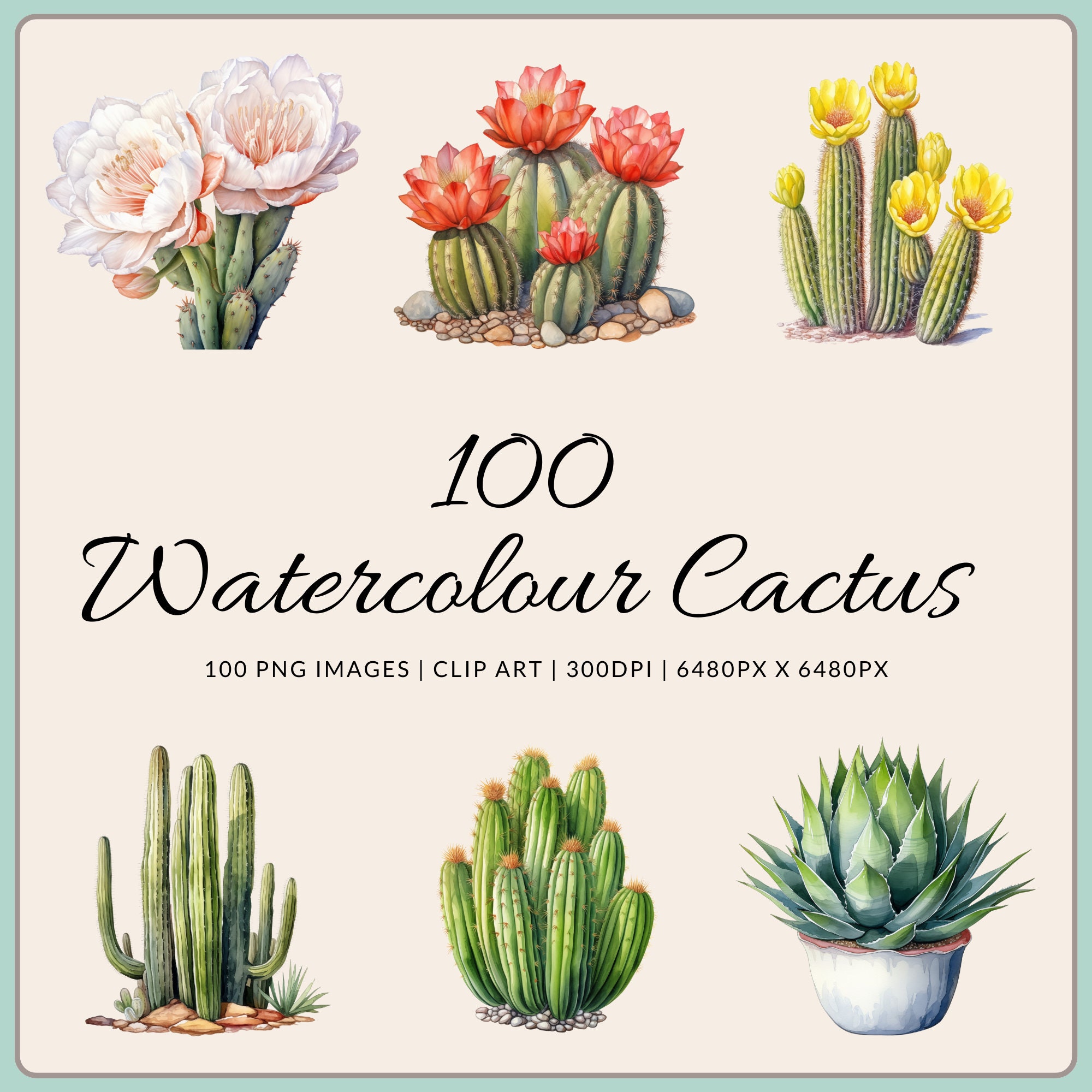 100 Cactus Watercolour Clip Art Bundle Digital Download Set of 100 PNG ...