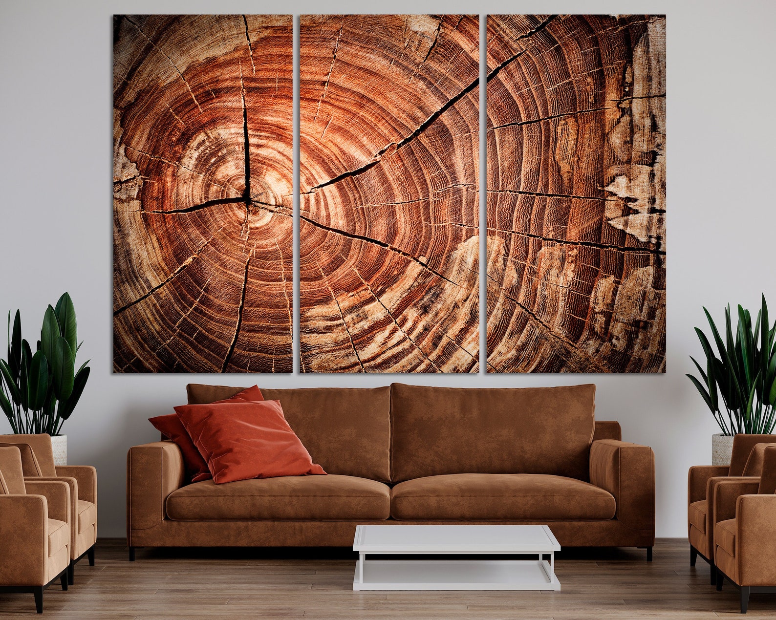 Stump of Old Oak Felled Art Print Annual Tree Rings Close-up Canvas ...
