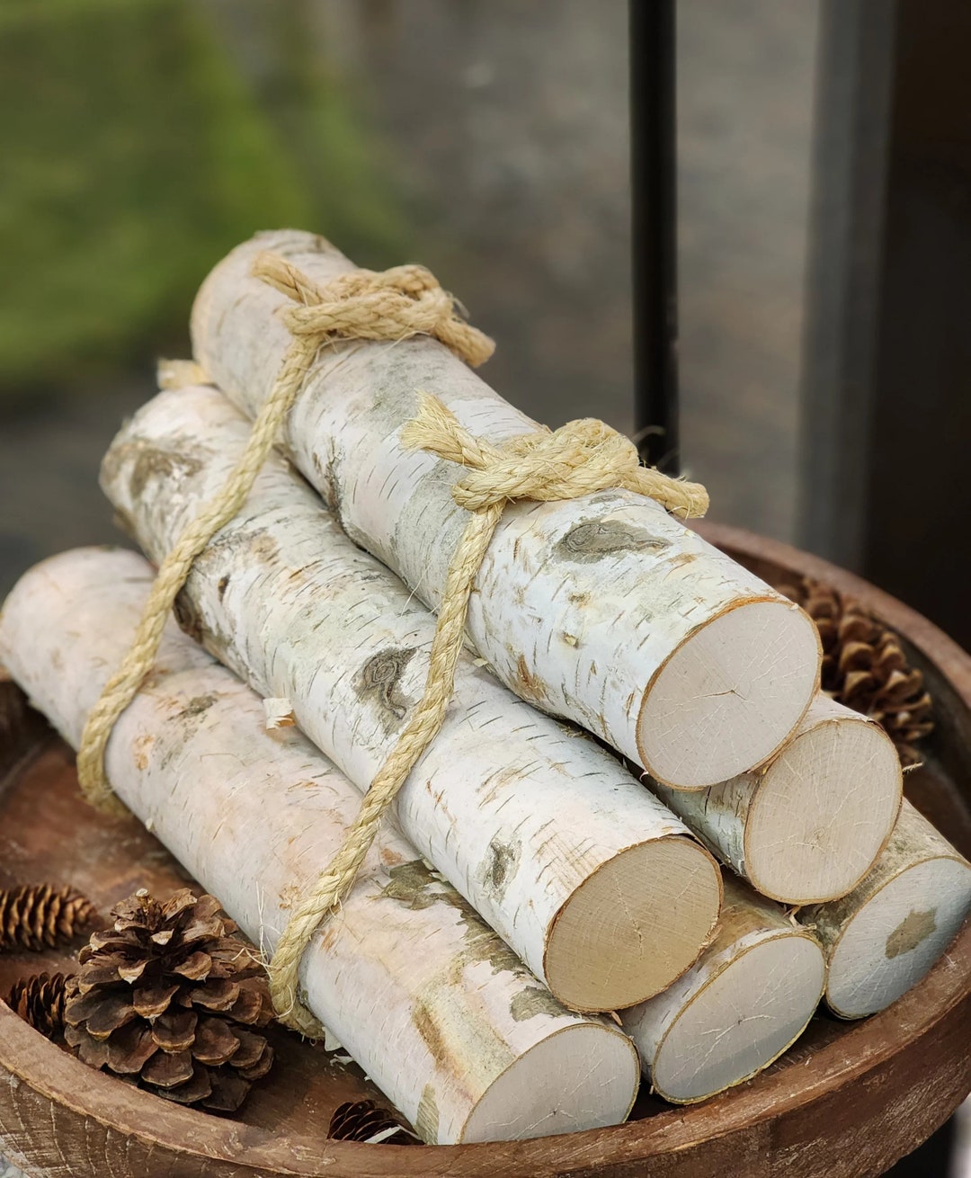 12" Birch Log Bundle Set (6 Logs) - Etsy