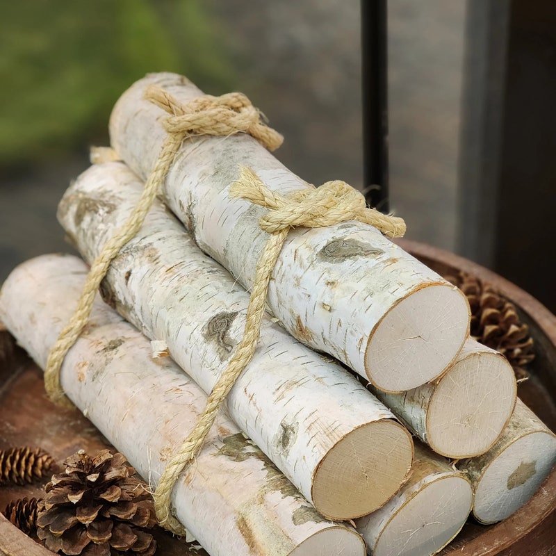 White Birch Logs - Etsy
