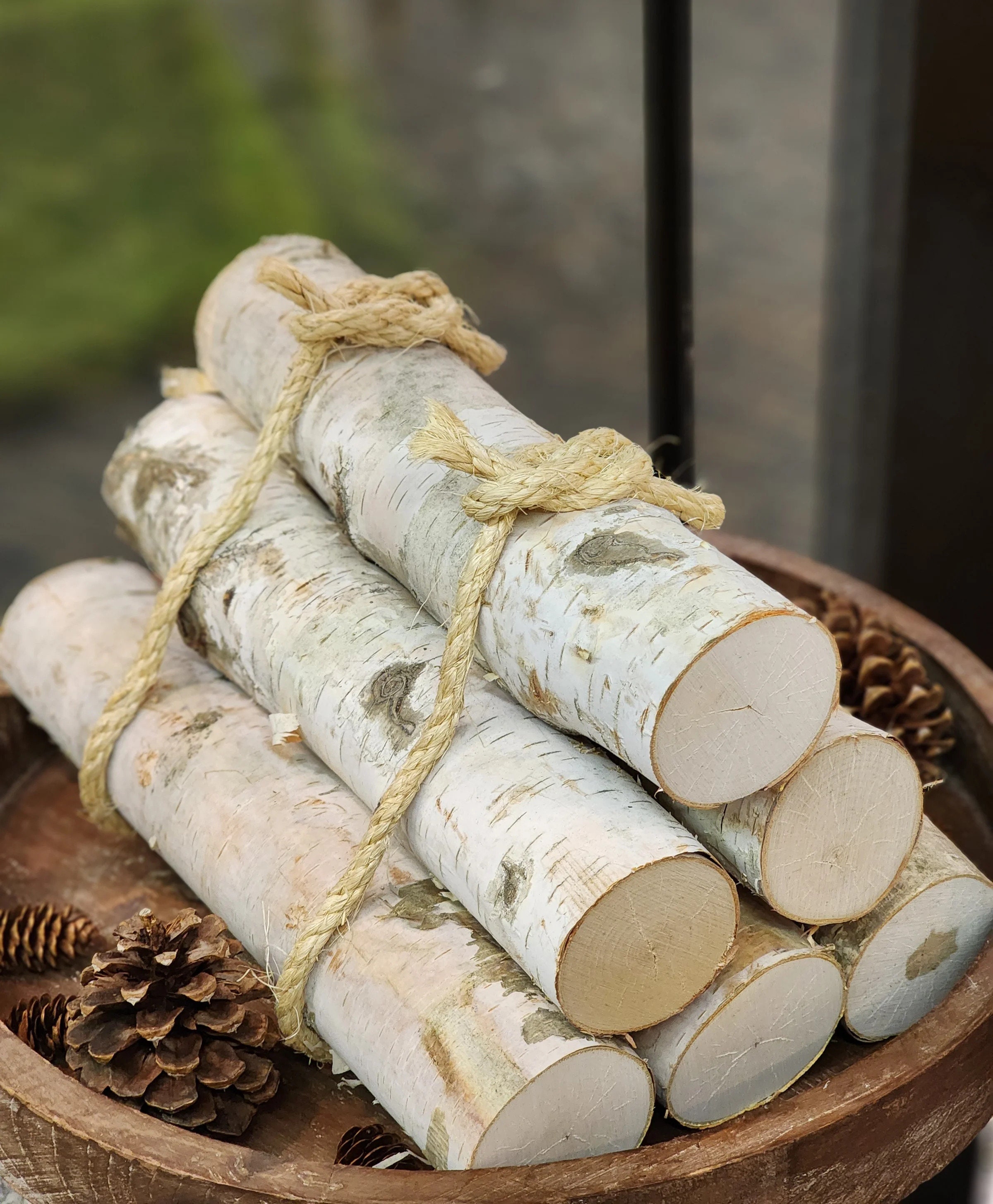 12" Birch Log Bundle Set (6 Logs) - Etsy