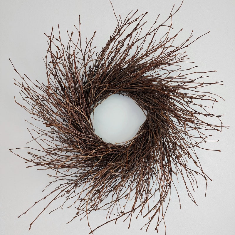 Wreath Twig and Tulips - Etsy