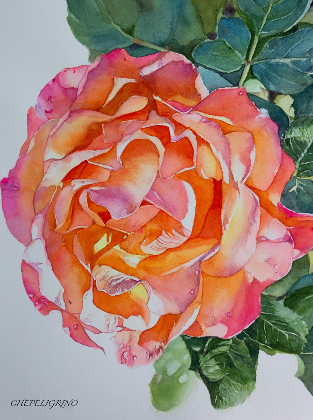 Orange Rose Watercolor Painting Original Orange Rose Wall Art Botanical ...
