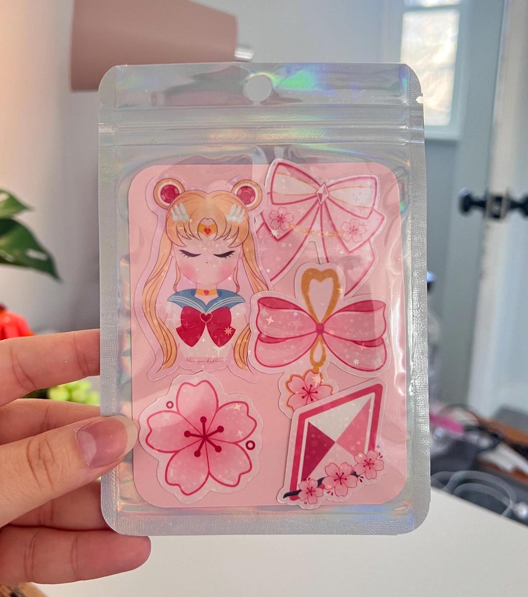 Mini Stickers Set/ Cherry Blossom/ Moon Princess/ Kawaii Stickers ...