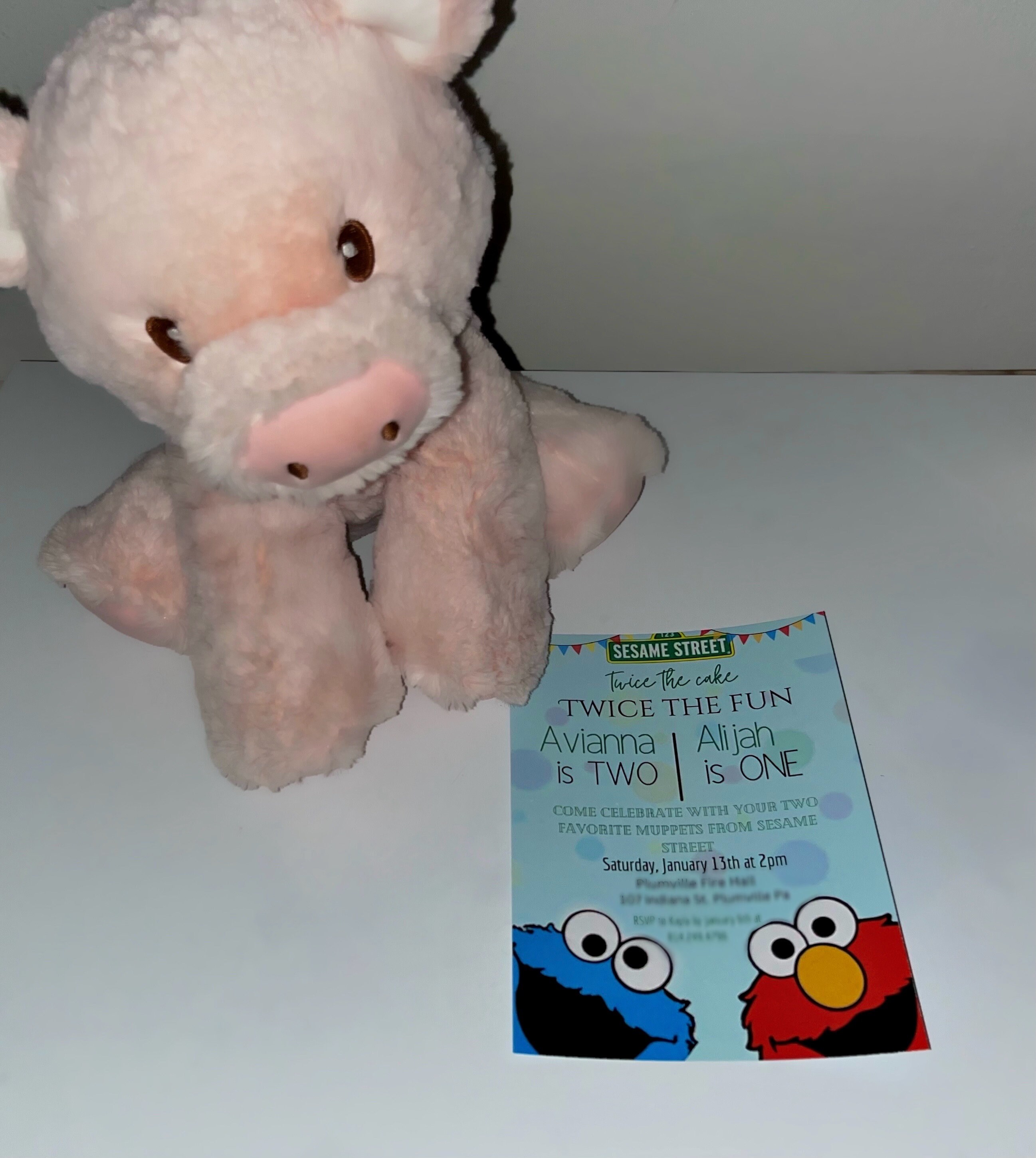 Sesame Street Birthday Invitation Template - Etsy