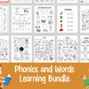 Kids Math and Numbers Learning Worksheet Bundle, Kids Activity ...