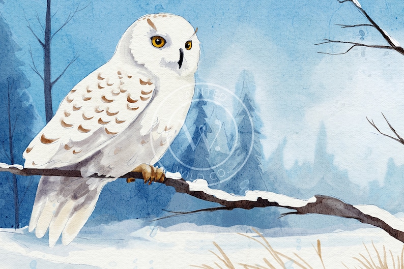 Snowy Owl Print Digital Download Nocturnal Bird Print Woodland Animal ...