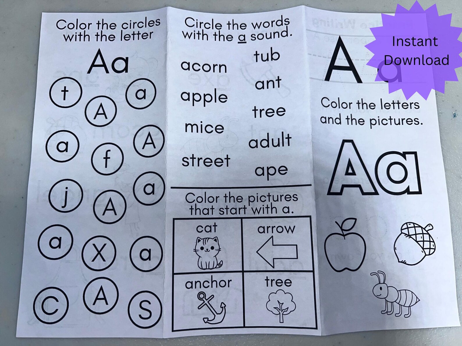 Printable Kids Alphabet Learning Pamphlets for School - Etsy