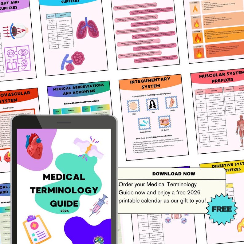 Medical Terminology Study Guide, Prefixes, Suffixes, Abbreviations, EMS ...