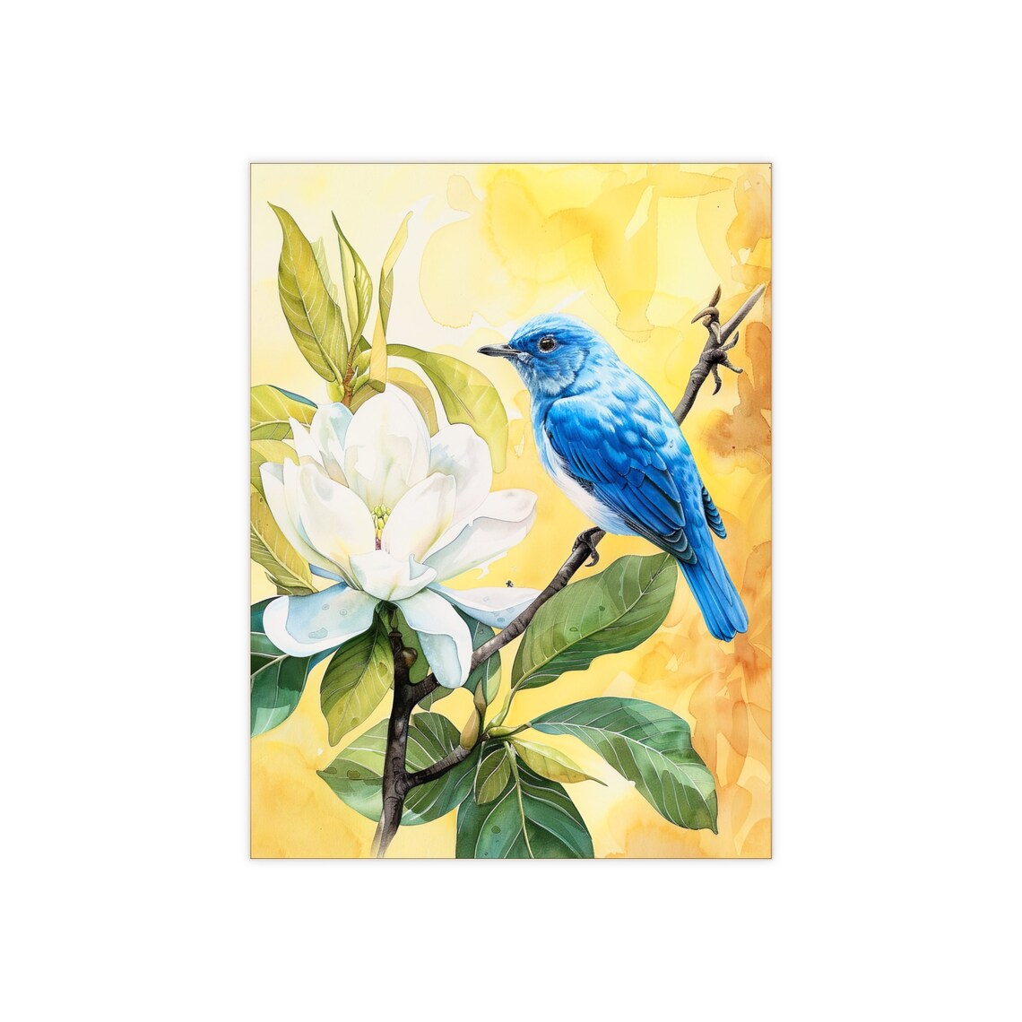 American Bluebird, Blue Bird, Blue Bird Art, Mountain Bluebird, Idaho ...