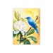 American Bluebird, Blue Bird, Blue Bird Art, Mountain Bluebird, Idaho ...