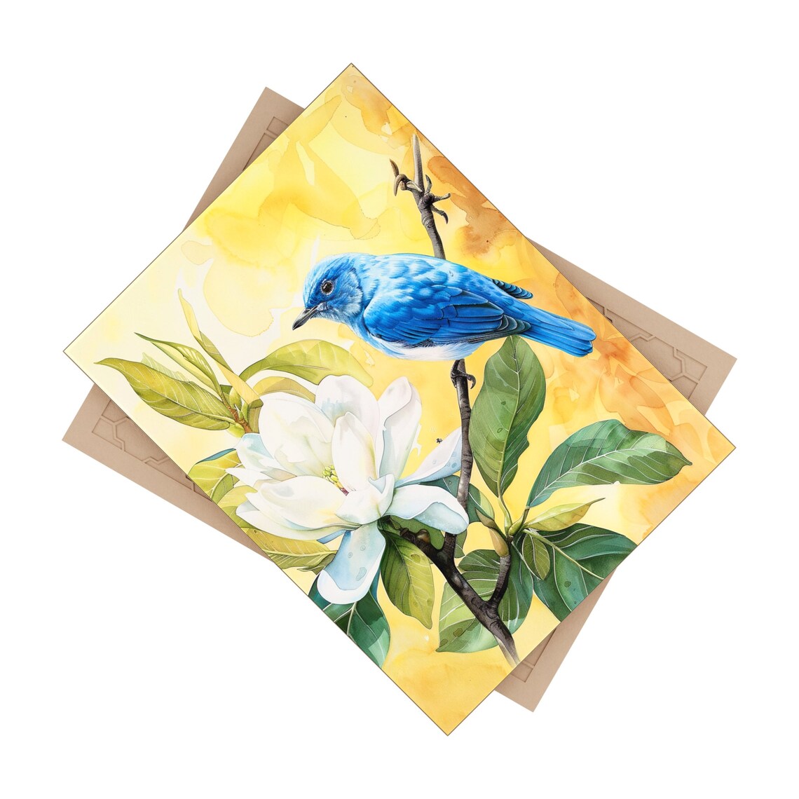 American Bluebird, Blue Bird, Blue Bird Art, Mountain Bluebird, Idaho ...