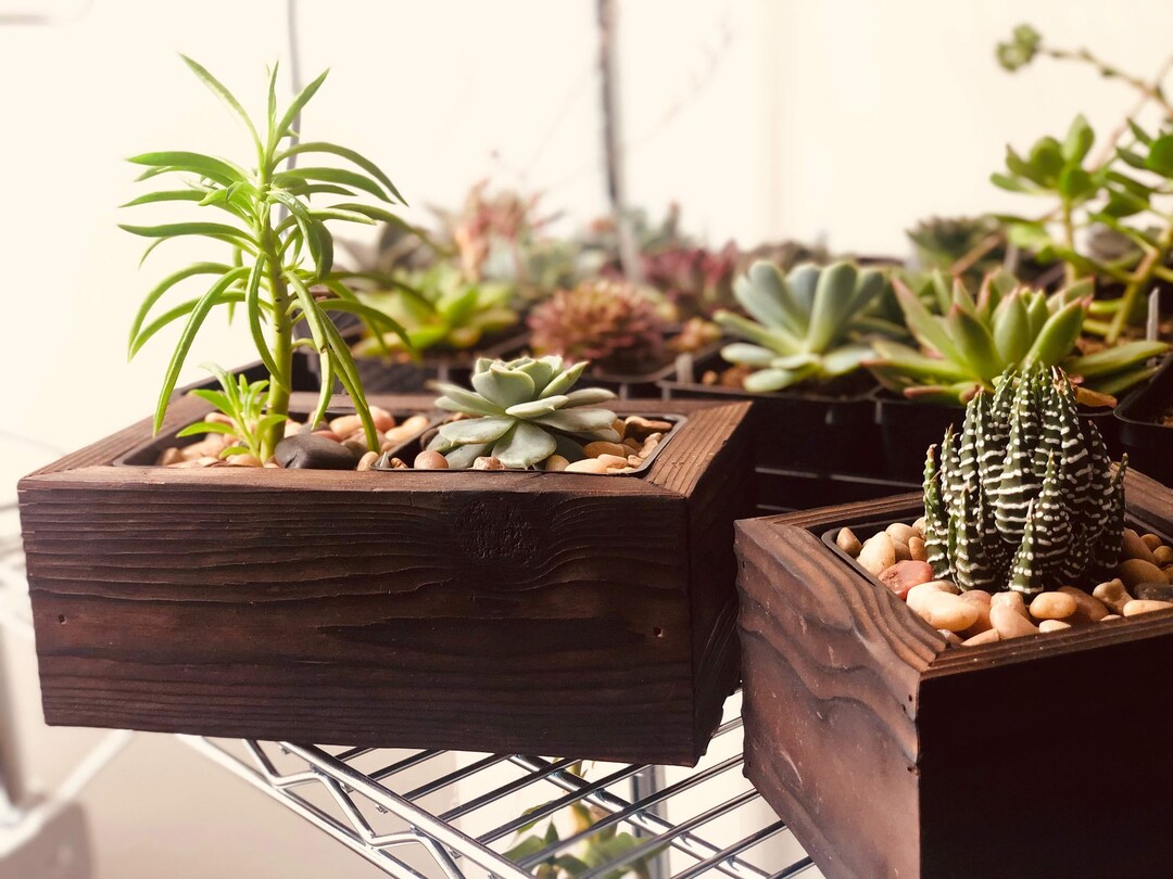 Custom Planter Boxes Pyro Planter - Etsy