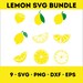 Lemon Slice Svg,fruits Dxf,fruit Svg,furit Cut File,lemon Layered ...