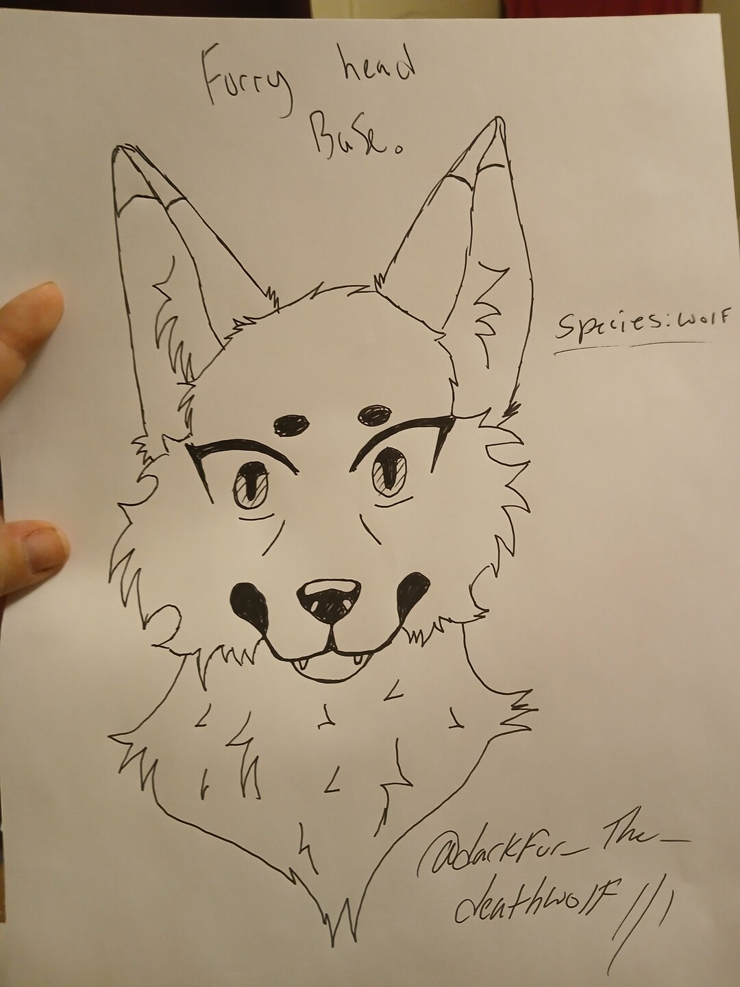 Wolf Head Drawing Base - Etsy
