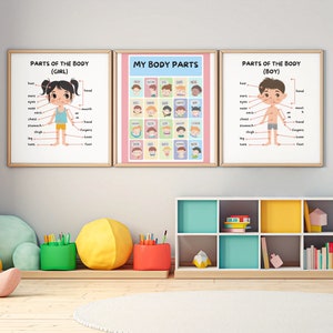 Human Body Busy Book 50 Pages, Montessori Materials, Homeschool ...