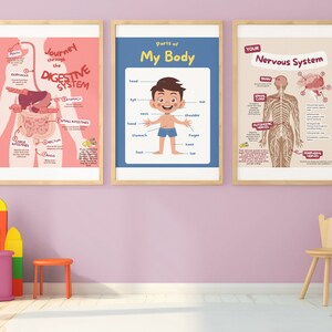 Human Body Busy Book 50 Pages, Montessori Materials, Homeschool ...