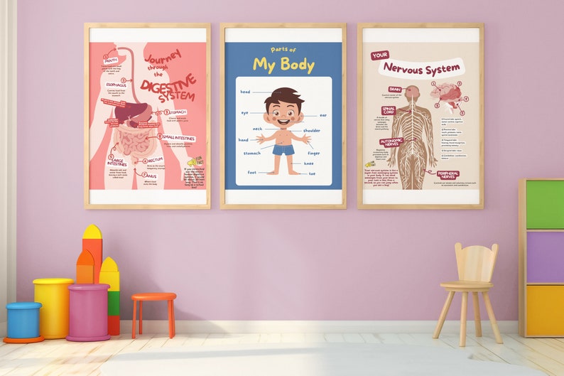 Human Body Busy Book 50 Pages, Montessori Materials, Homeschool ...