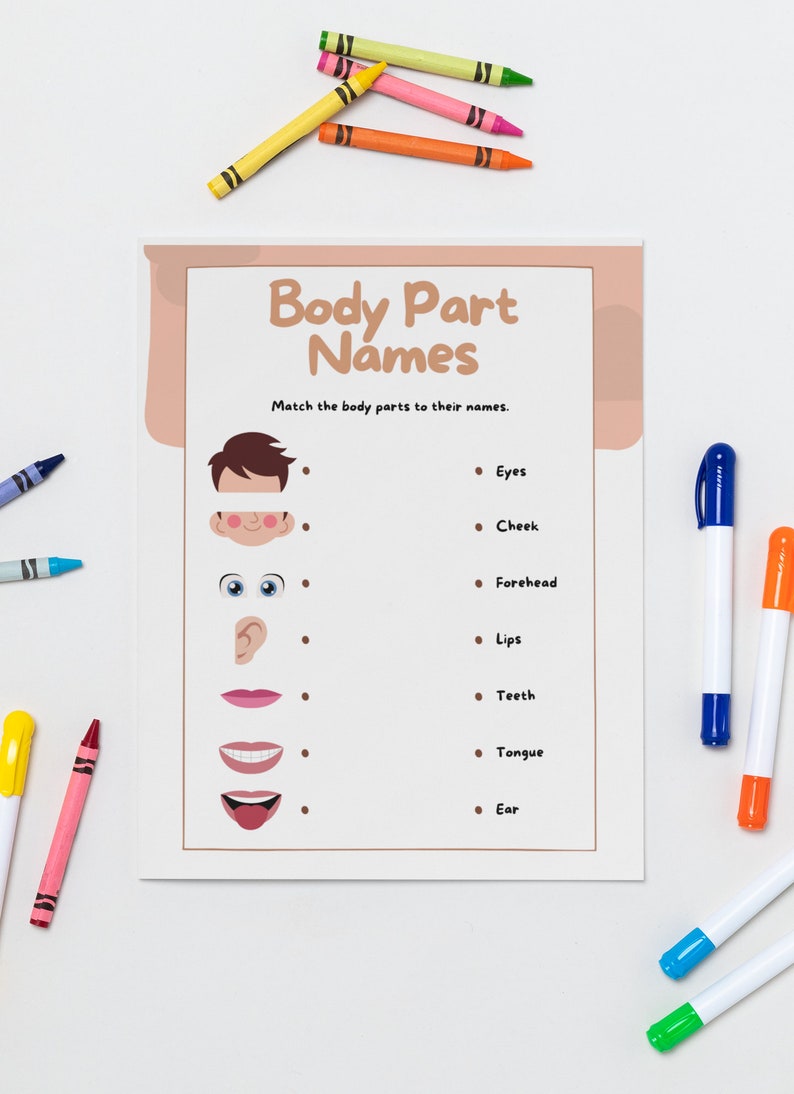 Human Body Busy Book 50 Pages, Montessori Materials, Homeschool ...