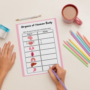 Human Body Busy Book 50 Pages, Montessori Materials, Homeschool ...