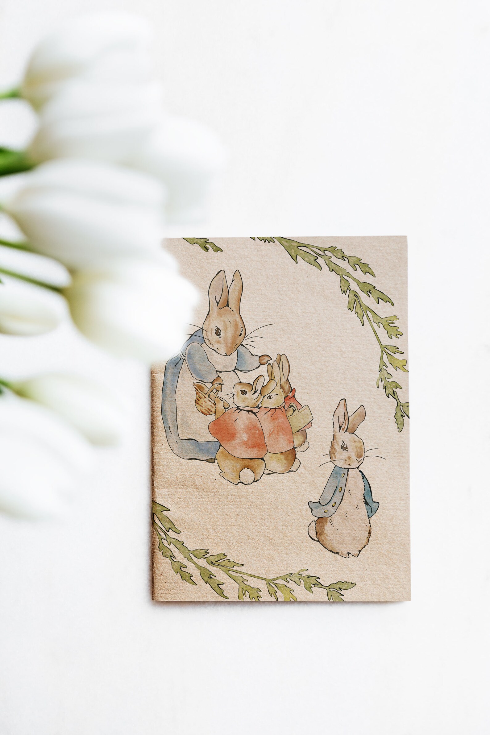 Peter Rabbit Watercolor Clipart, Watercolor PNG Set, Hand Painted ...