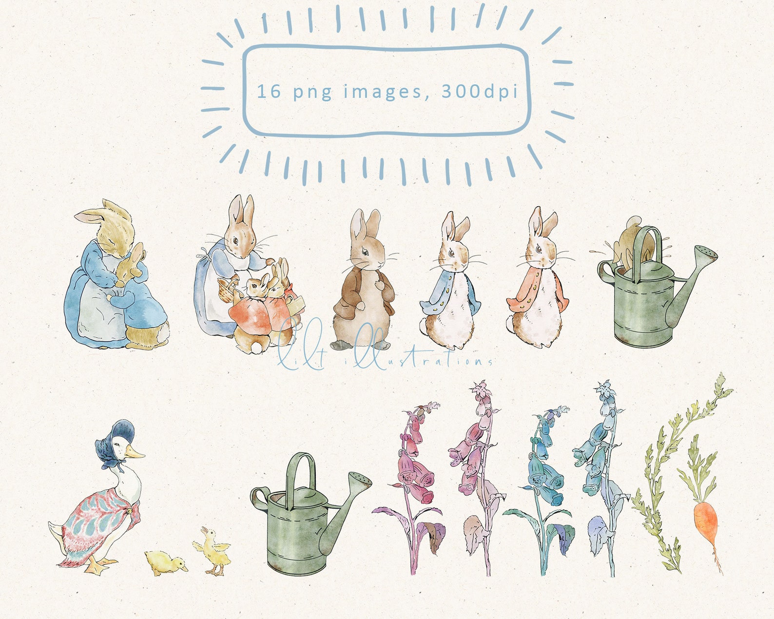 Peter Rabbit Watercolor Clipart, Watercolor PNG Set, Hand Painted ...