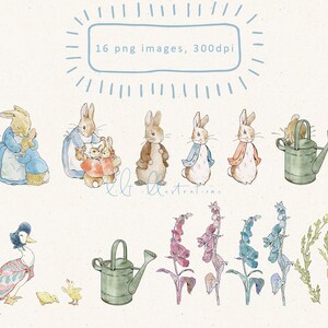 Peter Rabbit Watercolor Clipart, Watercolor PNG Set, Hand Painted ...