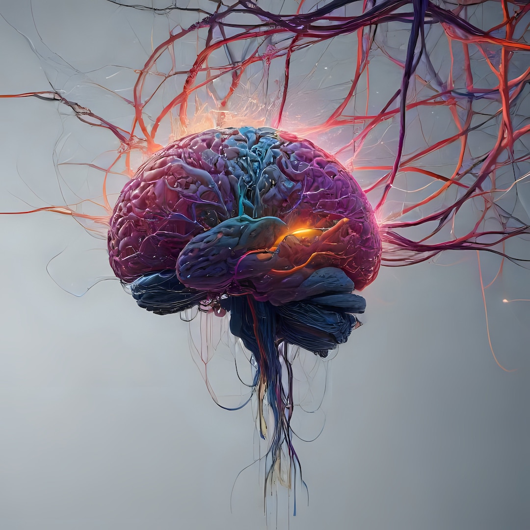 Neuroscience Brain Art; Digital Downloads - Neurology, Brains, Neurons ...