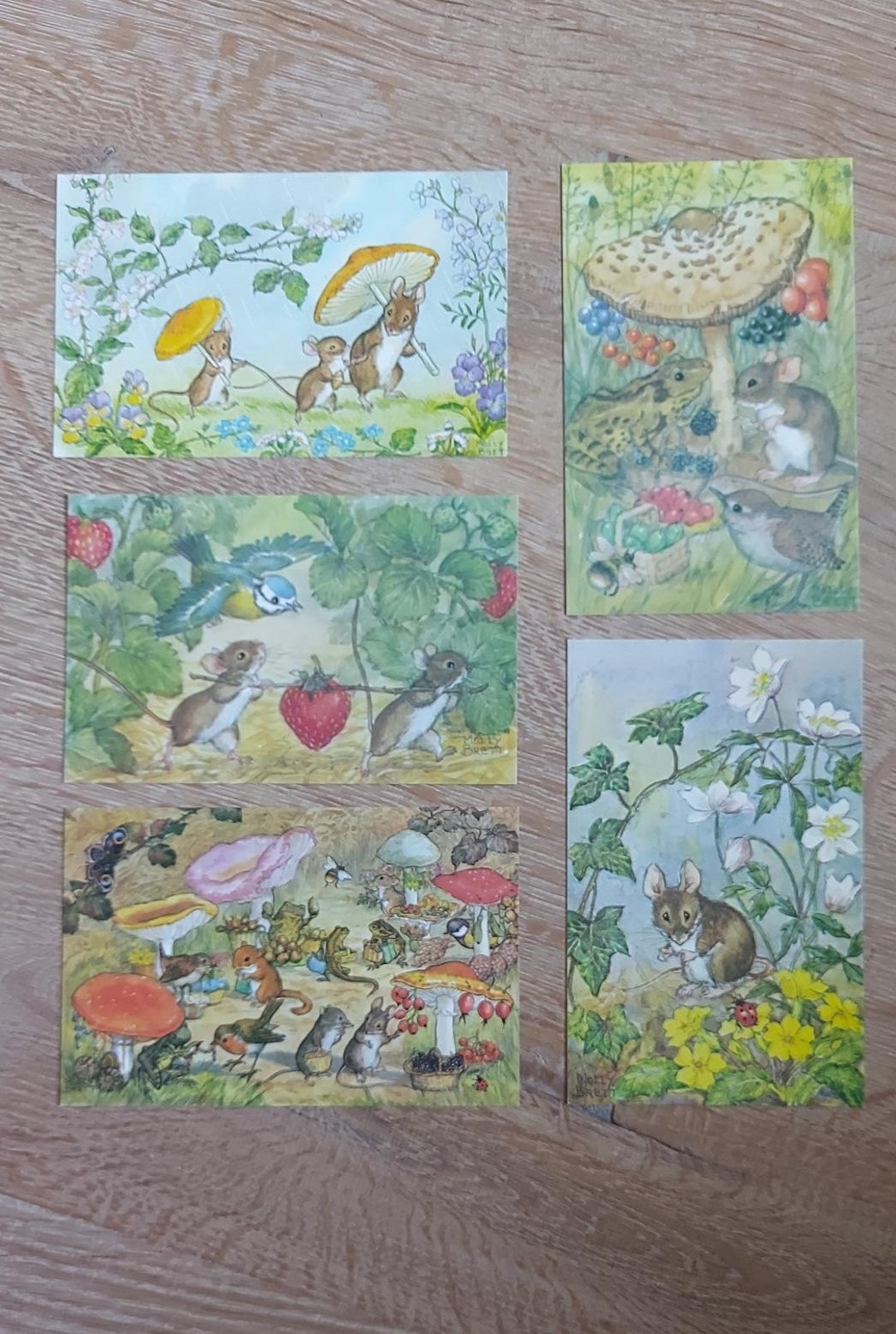 Set of 5 Five Postcards by Molly Brett. the Society Ltd. London - Etsy