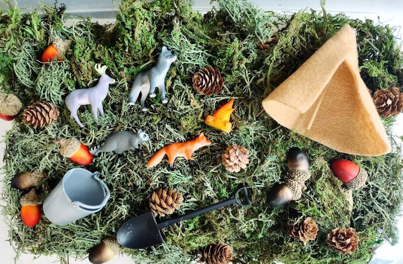 Woodland Sensory Bin, Forest Sensory Play, Nature Sensory Bin, Fine ...