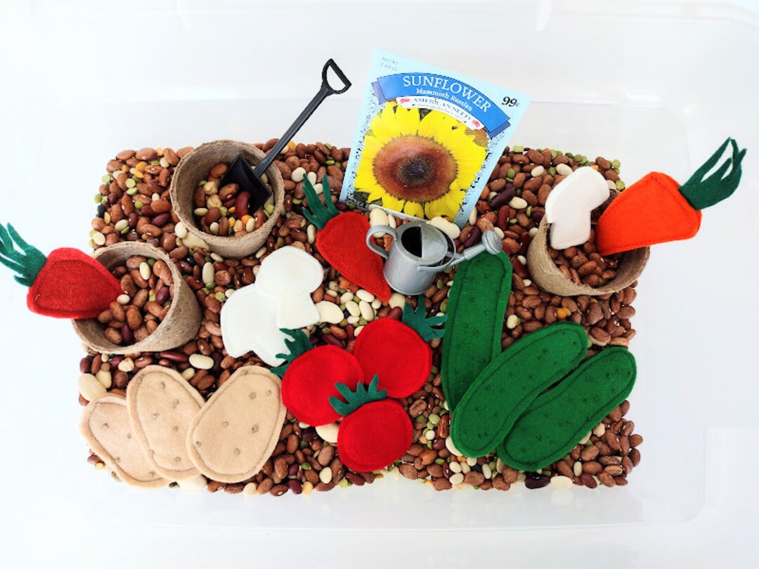 Summer Vegetable Garden Sensory Bin, Bean Sensory Kit - Etsy