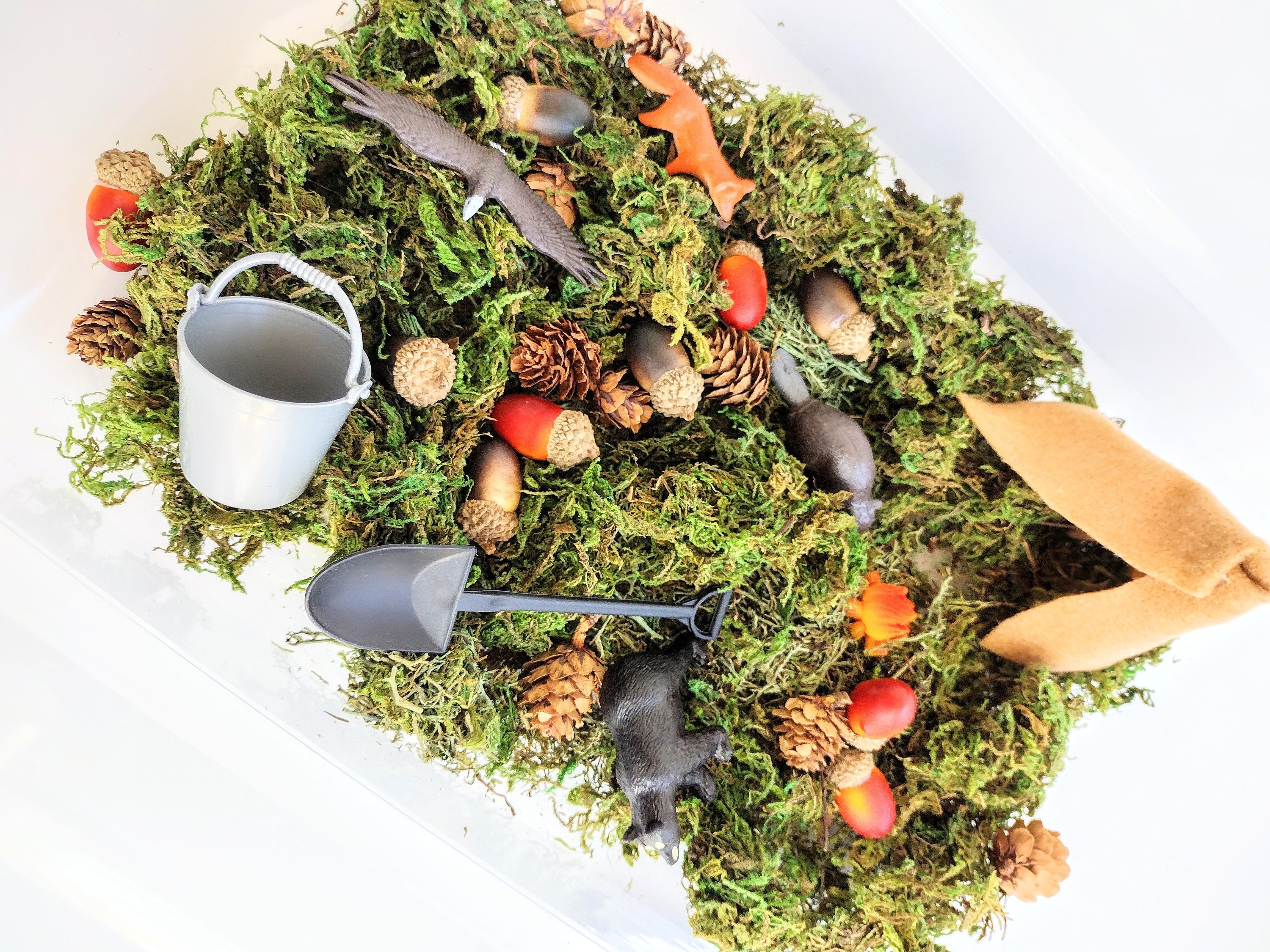 Woodland Forest Nature Sensory Bin, Outdoor Sensory Box - Etsy